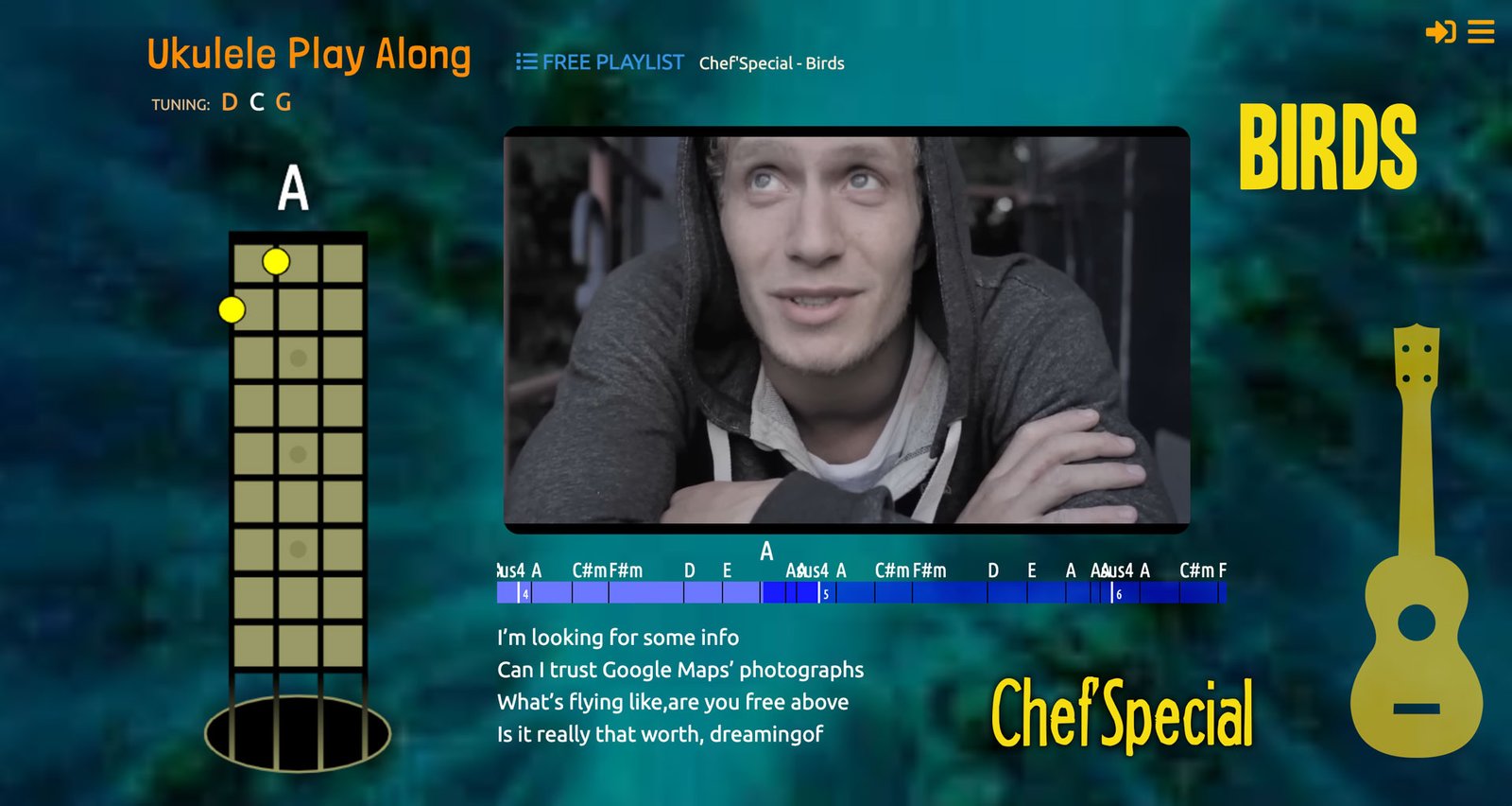 Ukulele Play Along-Pop-Birds